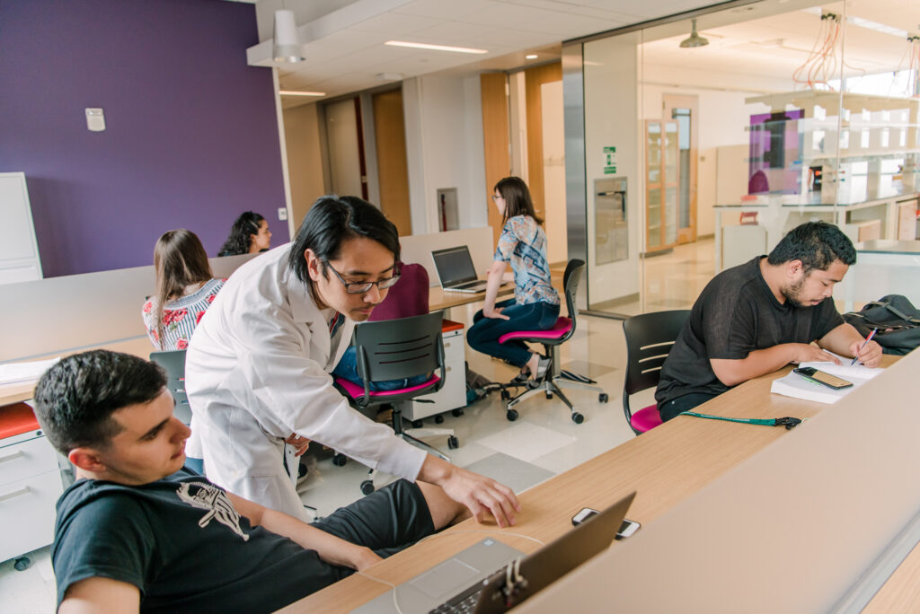Top 9 Features Of The New ILSB Not To Miss - UMBC: University Of ...