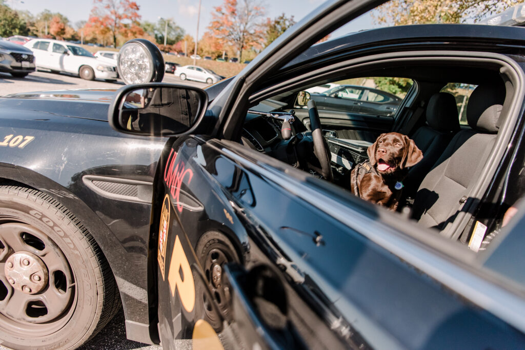 The Right Dog For The Job - UMBC: University Of Maryland, Baltimore County