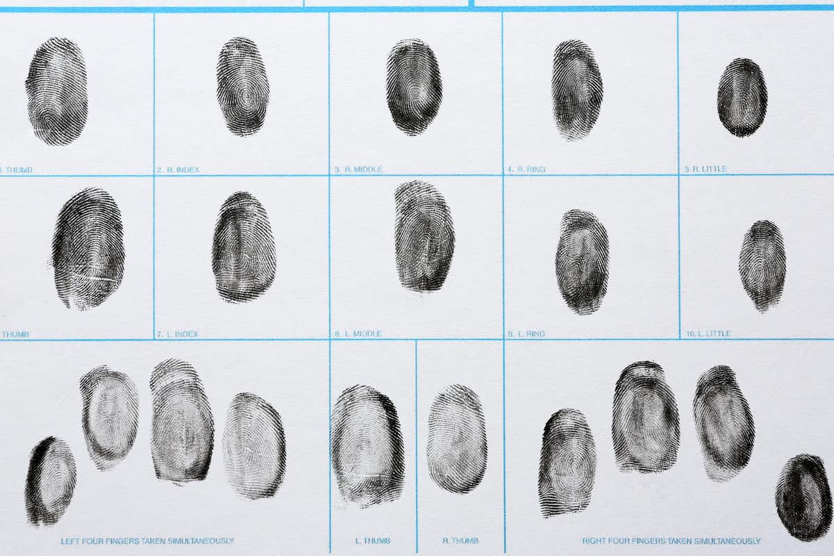 How Did I Get My Own Unique Set Of Fingerprints? - UMBC: University Of ...