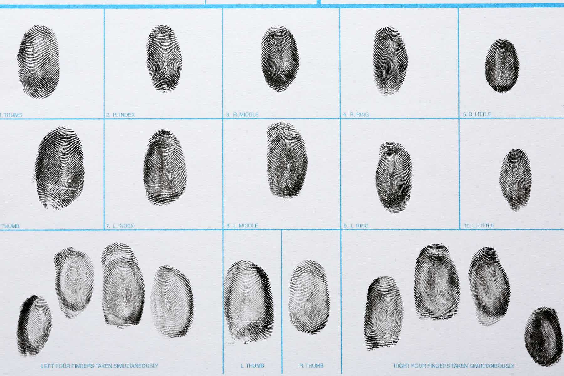 How Did I Get My Own Unique Set Of Fingerprints? - UMBC: University Of ...