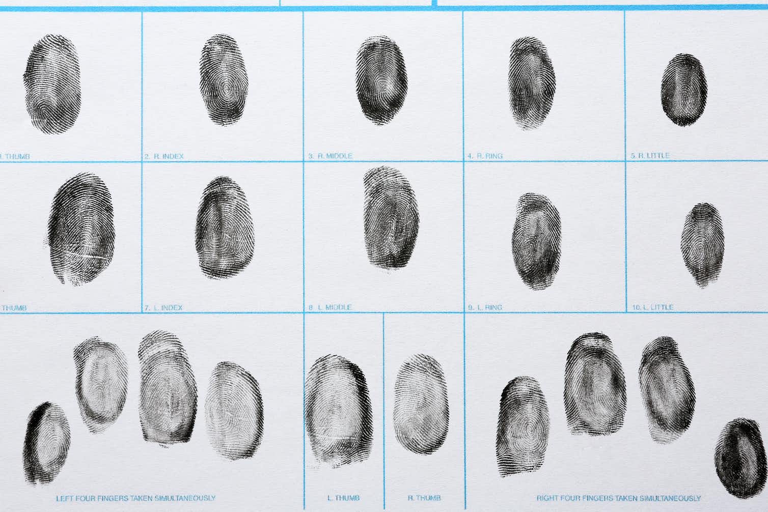 How Did I Get My Own Unique Set Of Fingerprints? - UMBC: University Of ...