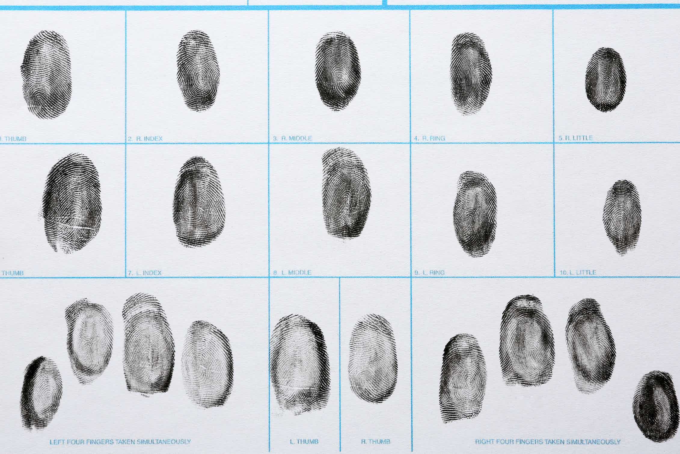How Did I Get My Own Unique Set Of Fingerprints? - UMBC: University Of ...