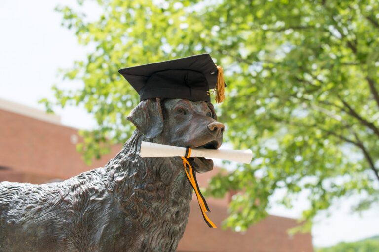 Why UMBC - University Of Maryland, Baltimore County