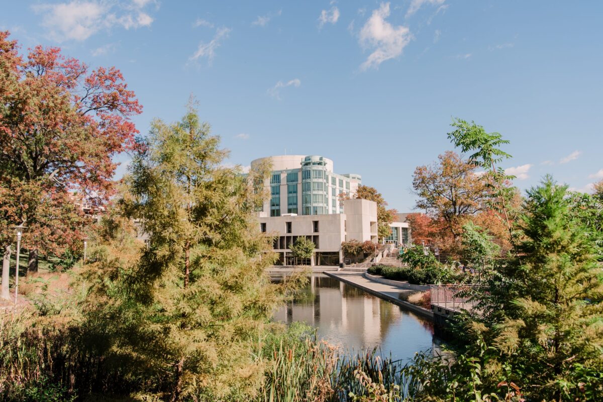 First-Year Students - UMBC: University Of Maryland, Baltimore County