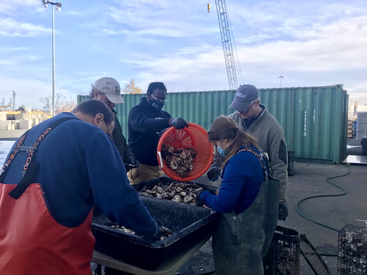 Students In UMBC’s ICARE Program Connect Scientific Research With ...