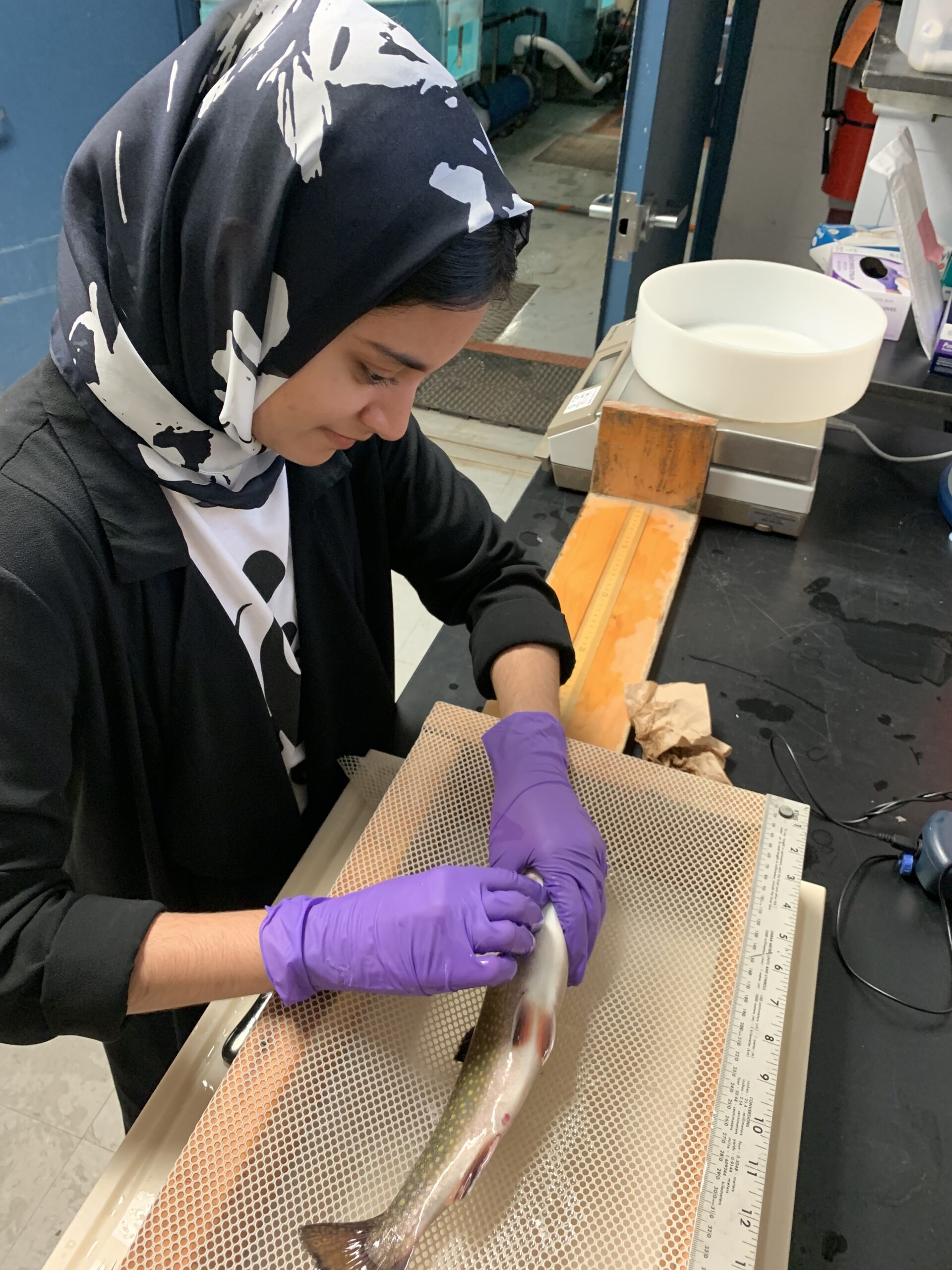 Meet A Retriever—Aiman Raza ’22, Applied Environmental Researcher In ...