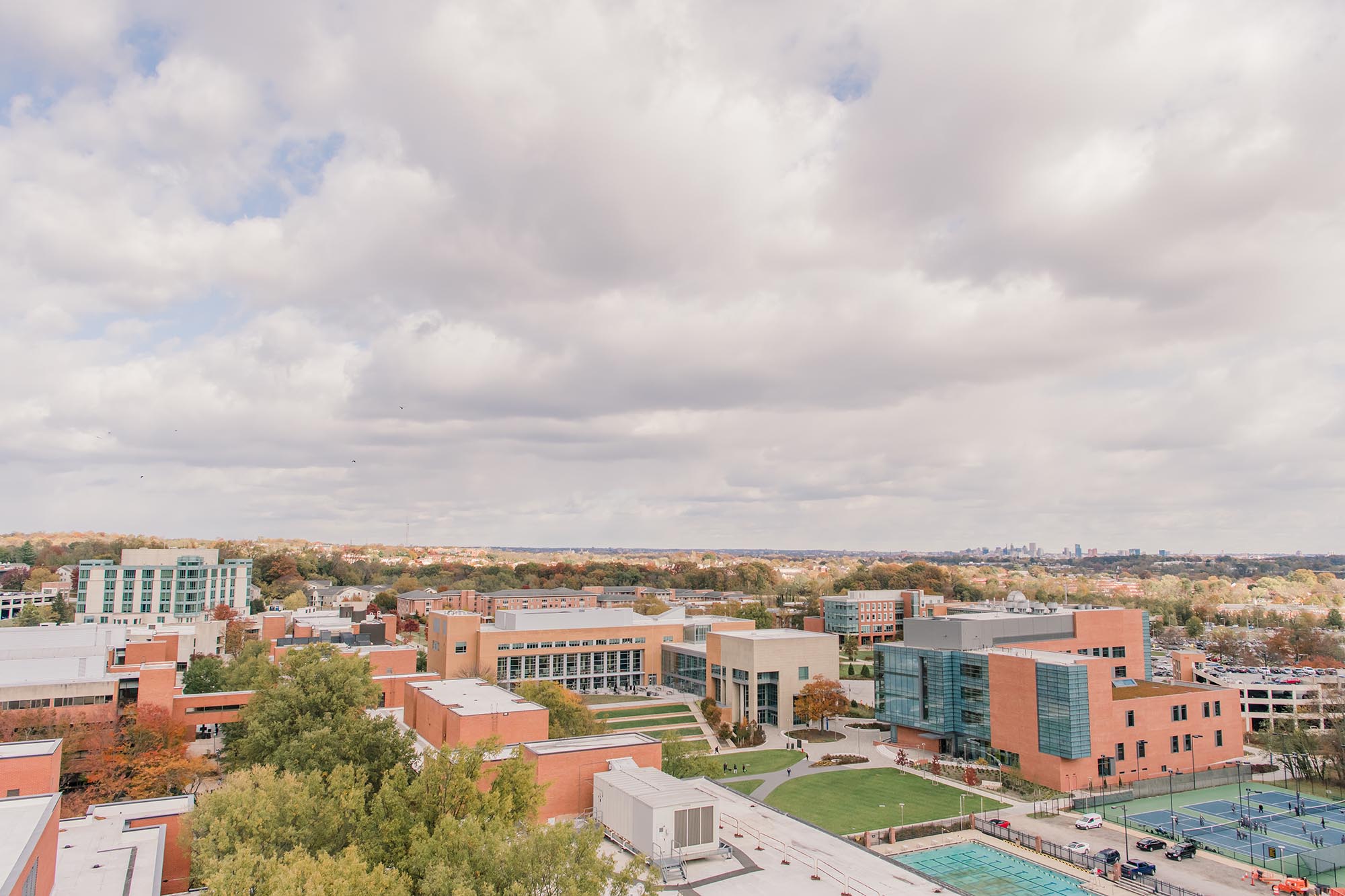 Psychology Minor | Undergraduate Programs | UMBC