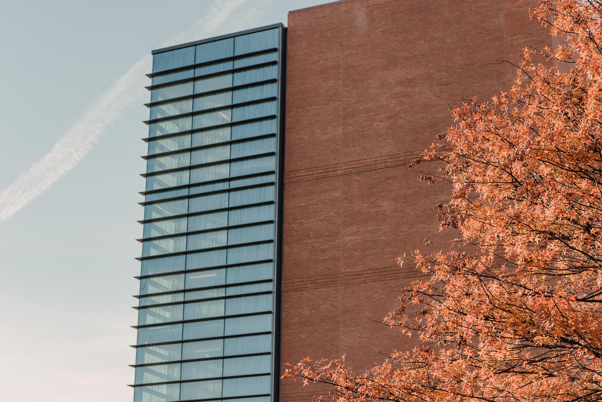 Management Minor | Undergraduate Programs | UMBC