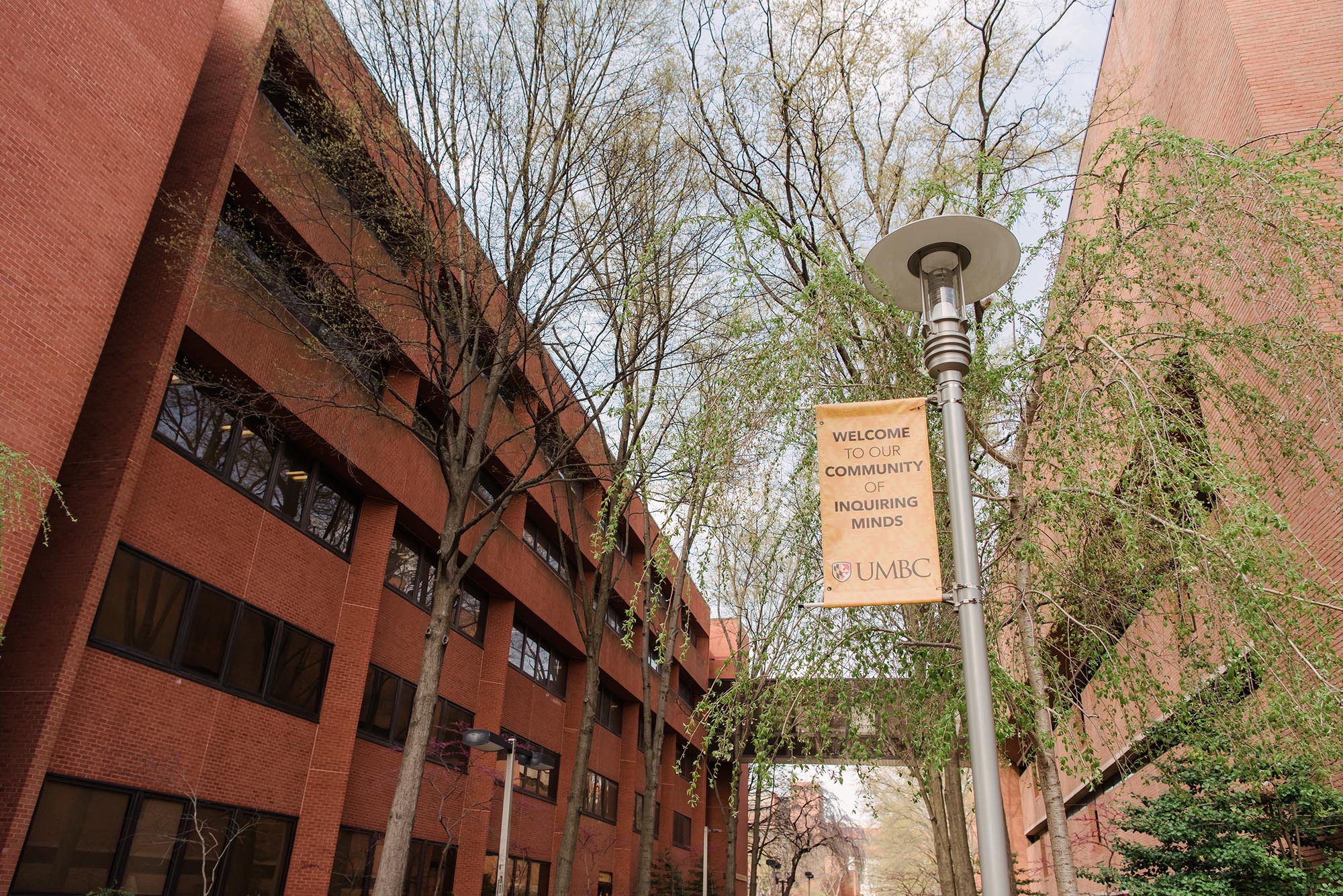 Cybersecurity | Undergraduate Programs | UMBC
