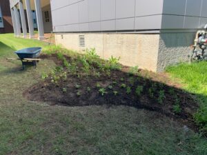 New Pollinator Garden Builds On Years Of Effort To Support Wildlife On ...